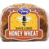 SAVE the BEE | Ensuring the Future of Honey Bees